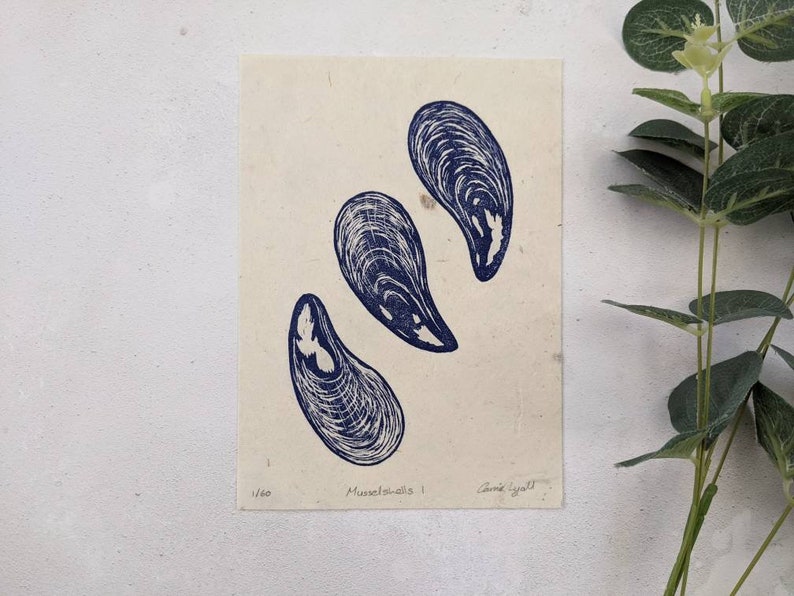 Mussel Shell Linocut Print Seashell Print Wall Decor - Etsy UK