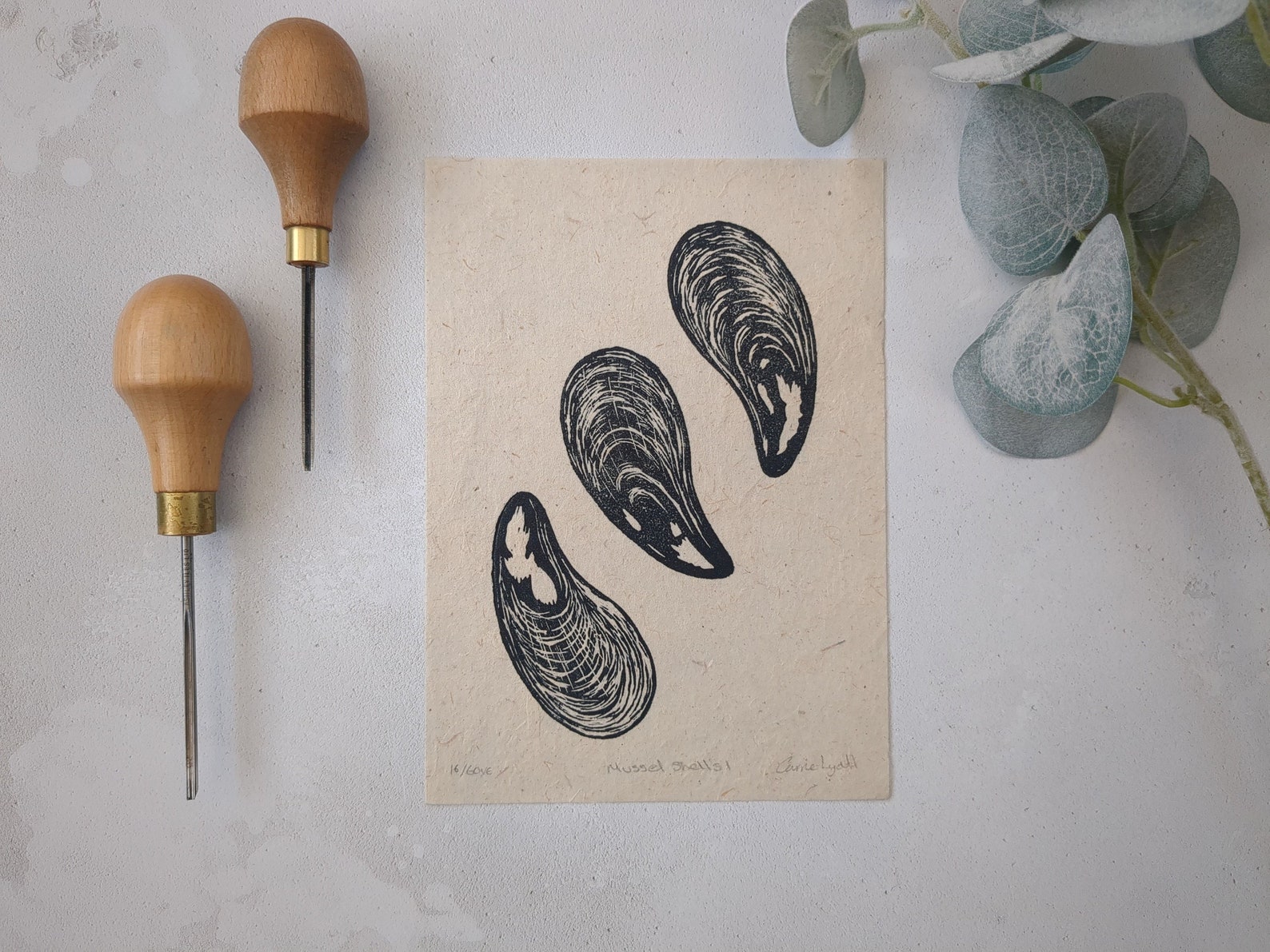 Mussel Shell Linocut Print, Seashell Print, Wall Decor, Limited Edition ...