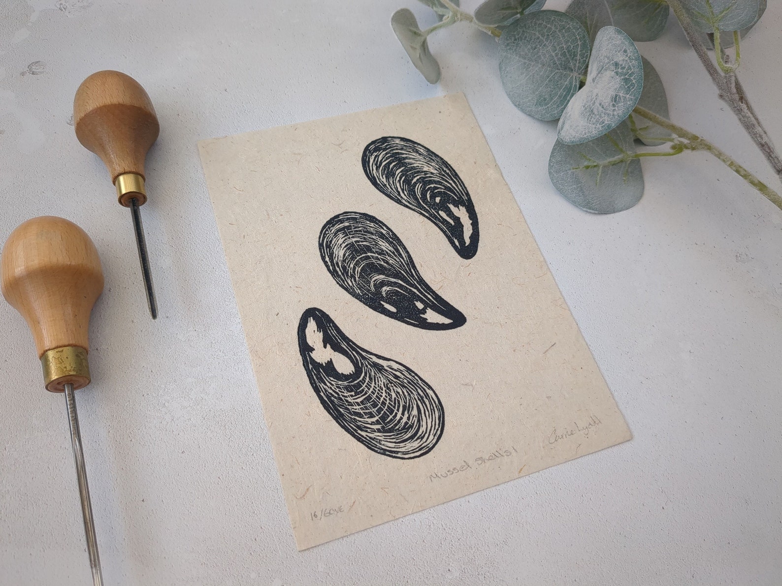 Mussel Shell Linocut Print, Seashell Print, Wall Decor, Limited Edition Linocut Print - Etsy