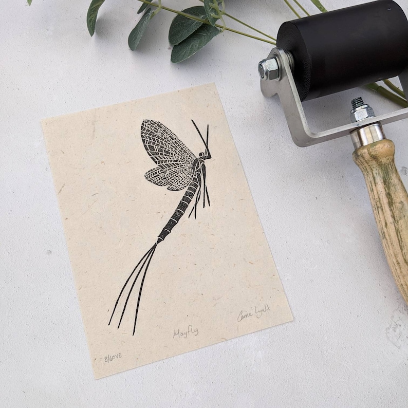 Mayfly Limited Edition Linocut Print Insect Wall Art Fly | Etsy
