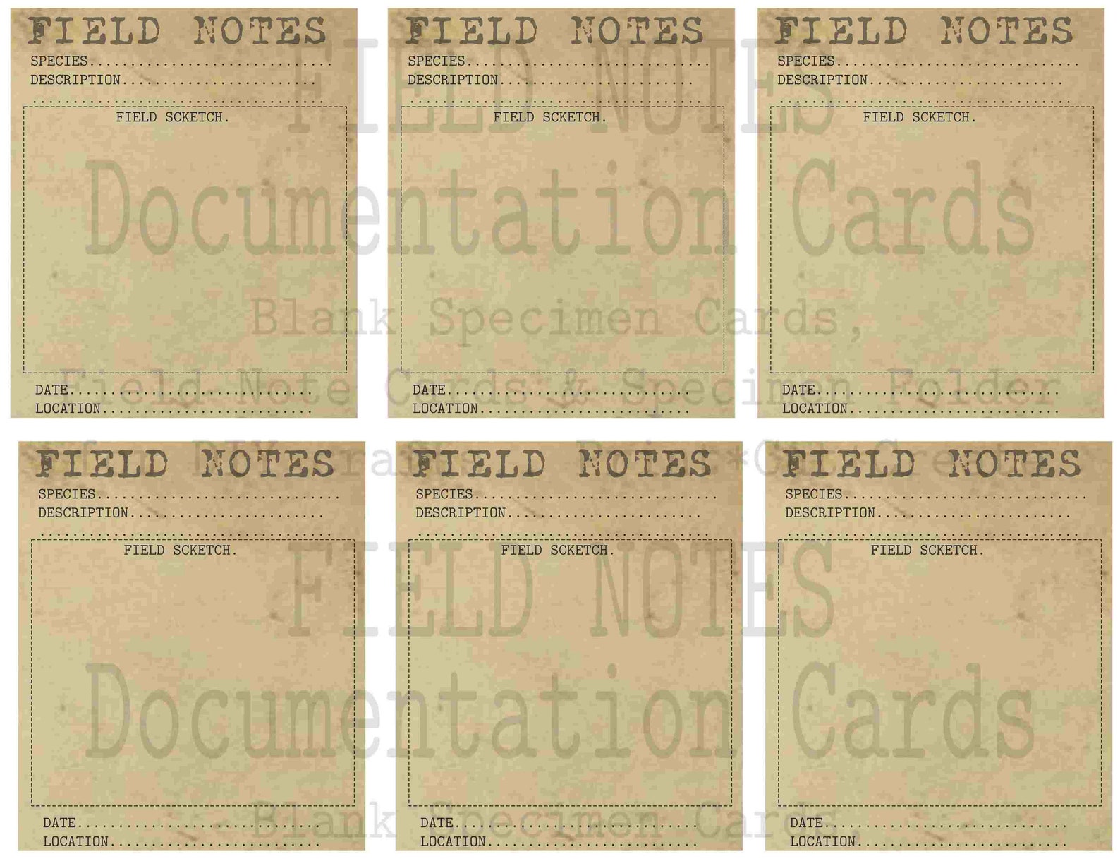 Field Note Documentation Cards, Specimen Cards, Nature Journal, Nature ...