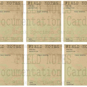 Field Note Documentation Cards, Specimen Cards, Nature Journal, Nature ...