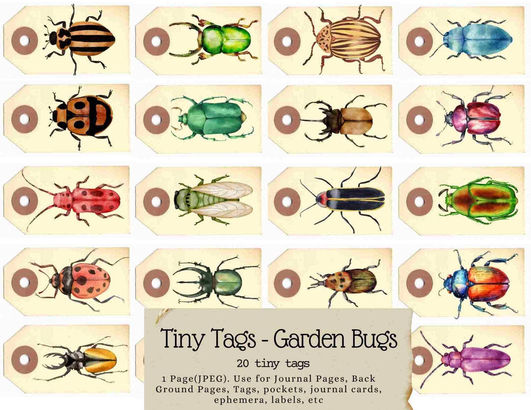 Garden Bugs Tiny Tags, Gift Tags, Journal Tags, Spring Tags, Printable Wildflower Tags, Garden ...