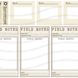 Field Note - 2 Documentation Cards, Specimen Cards, Nature Journal ...