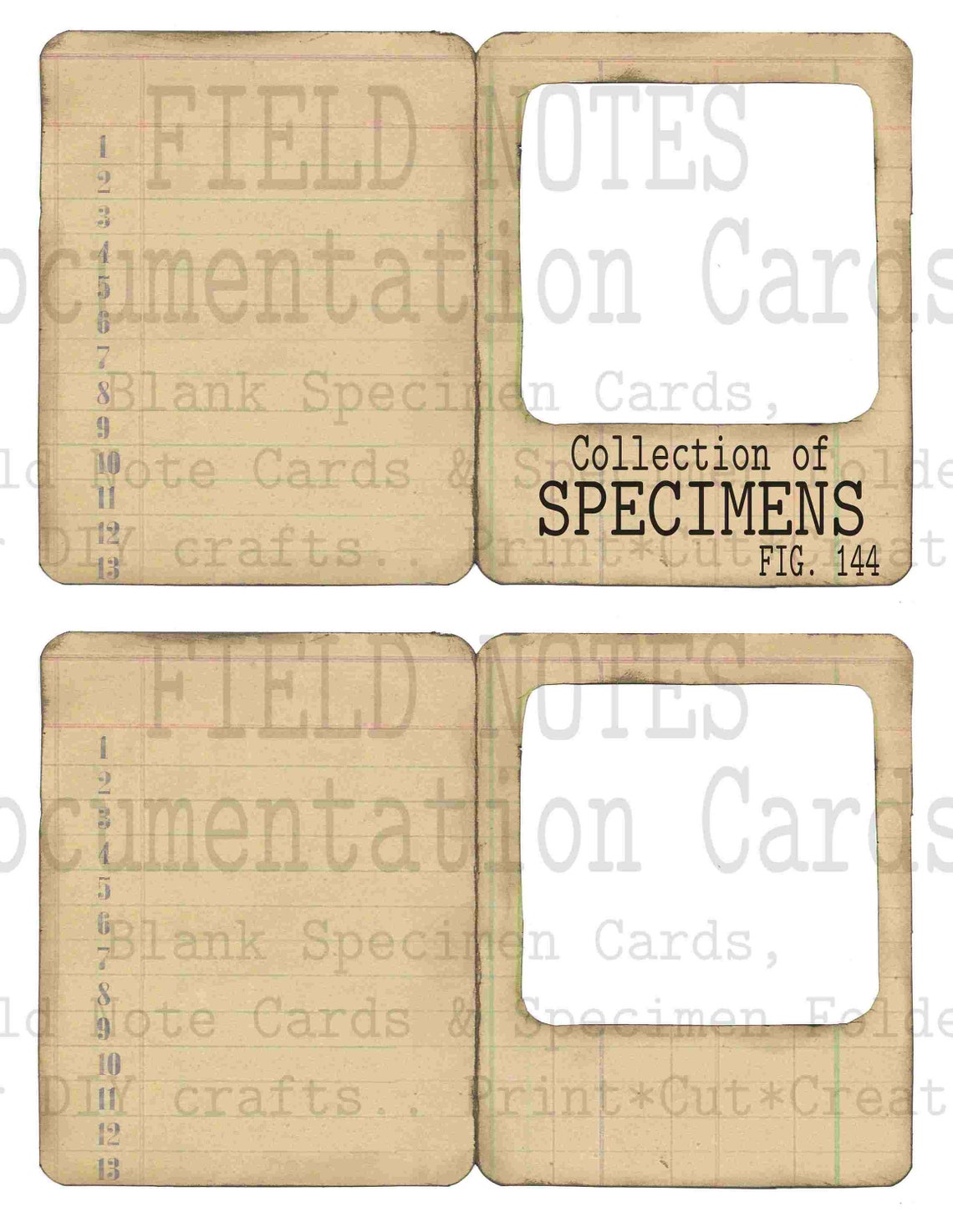 Field Note Documentation Cards, Specimen Cards, Nature Journal, Nature ...