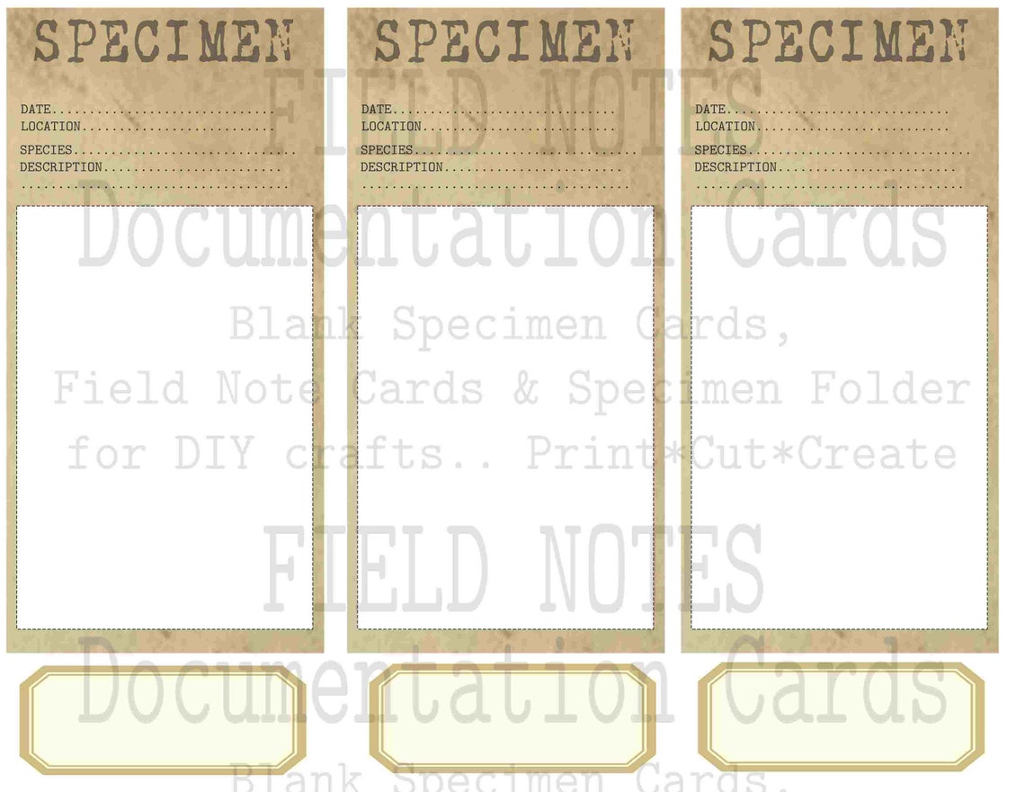 Field Note Documentation Cards, Specimen Cards, Nature Journal, Nature ...