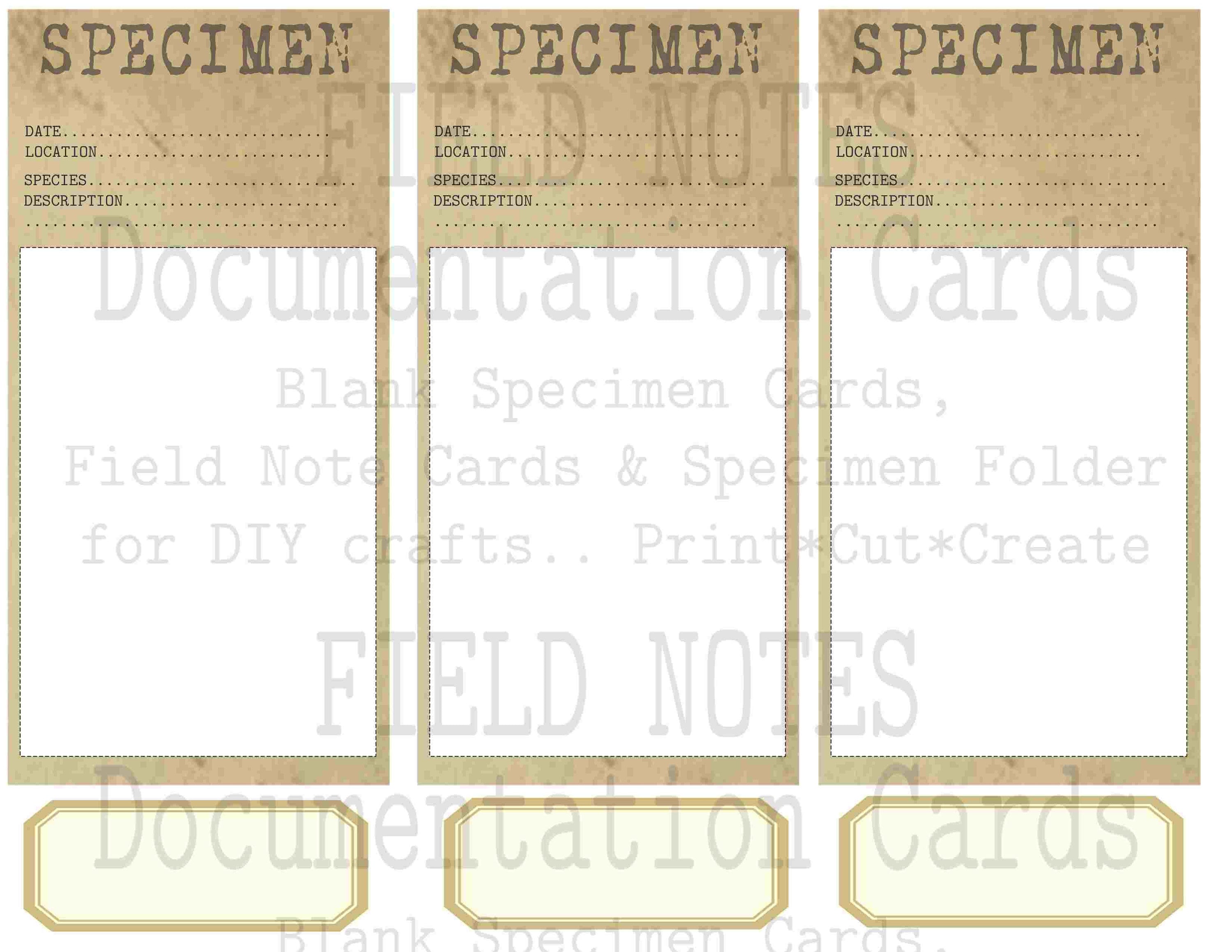 Field Note Documentation Cards Specimen Cards Nature - Etsy