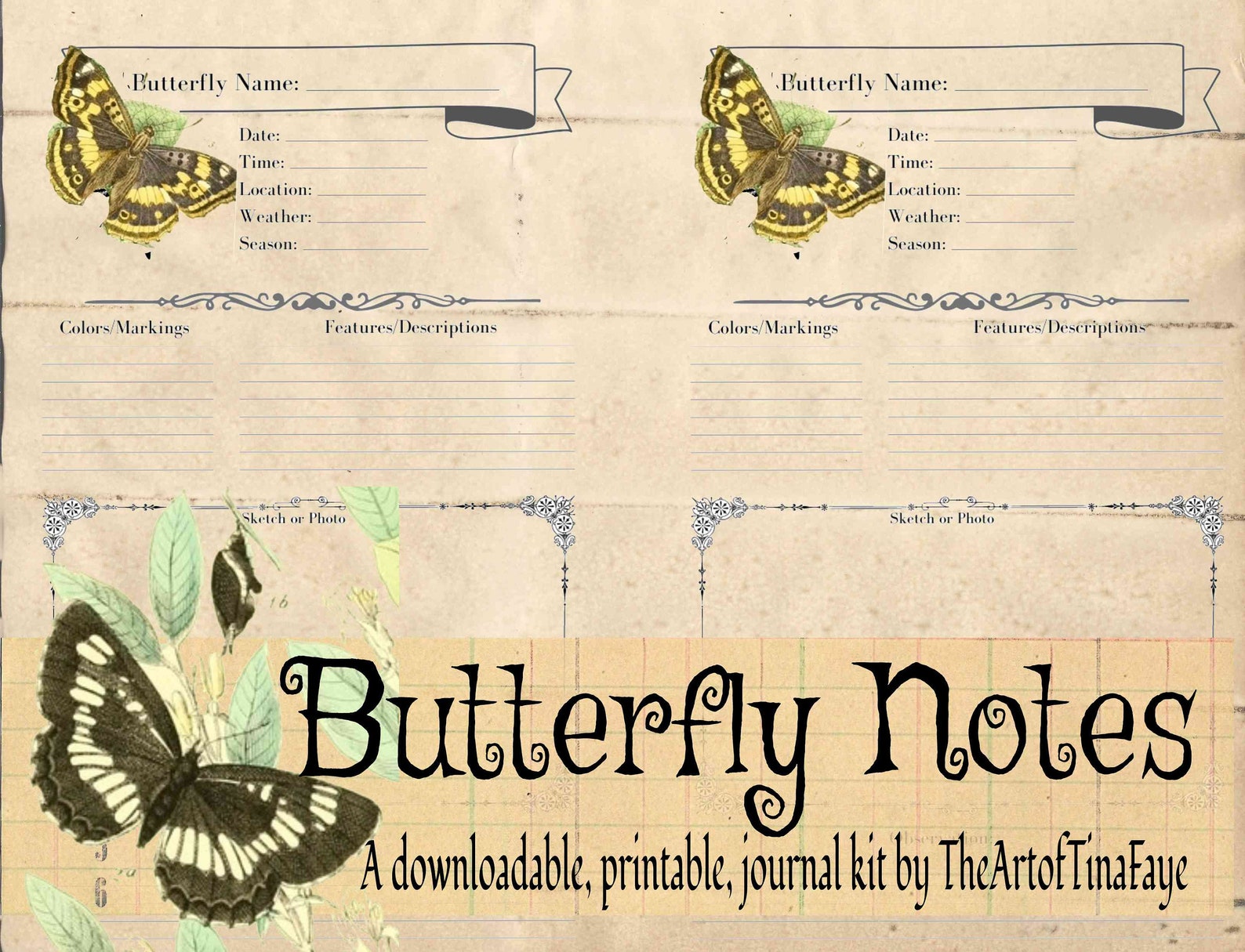 Butterfly Notes Printable Journal Kit Digital Journal Kit | Etsy