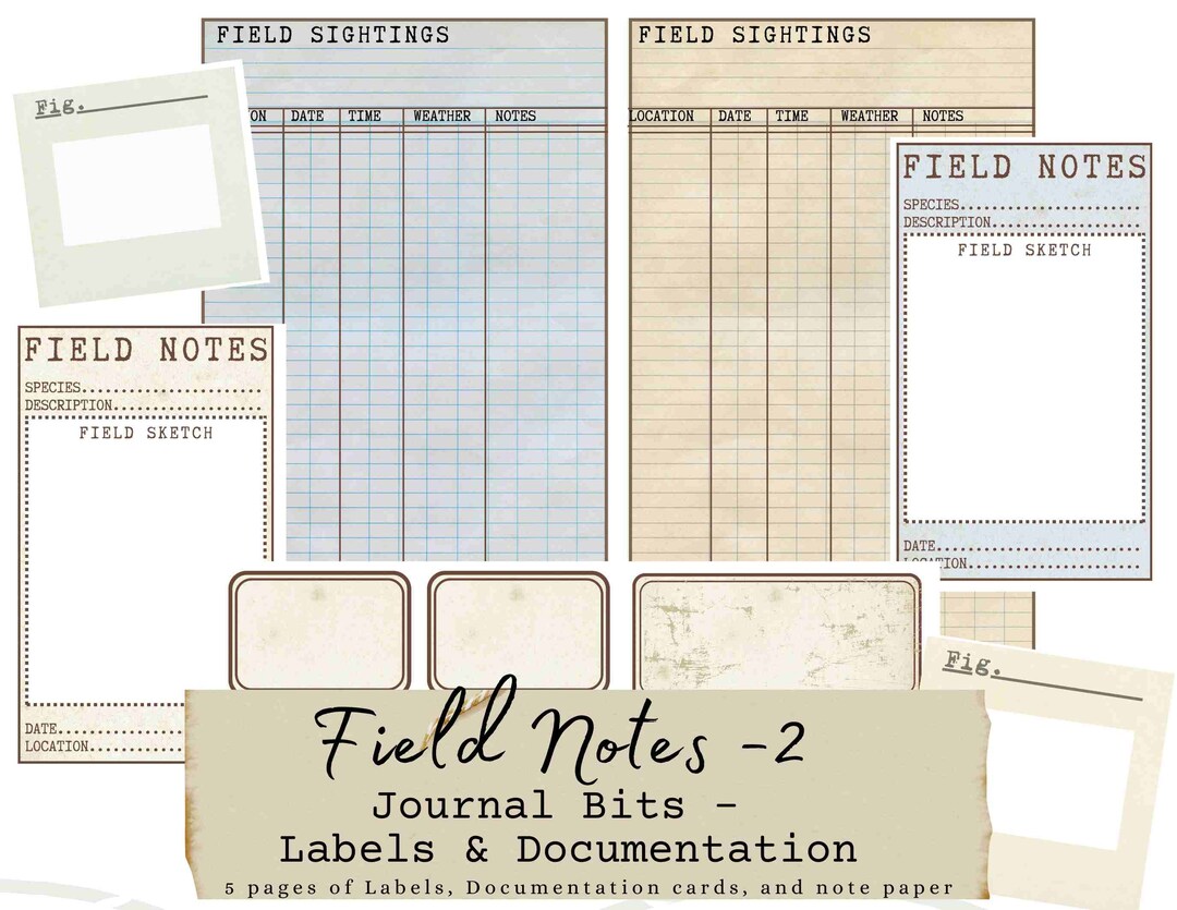 Field Note - 2 Documentation Cards, Specimen Cards, Nature Journal ...