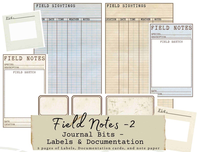 Field Note - 2 Documentation Cards, Specimen Cards, Nature Journal ...