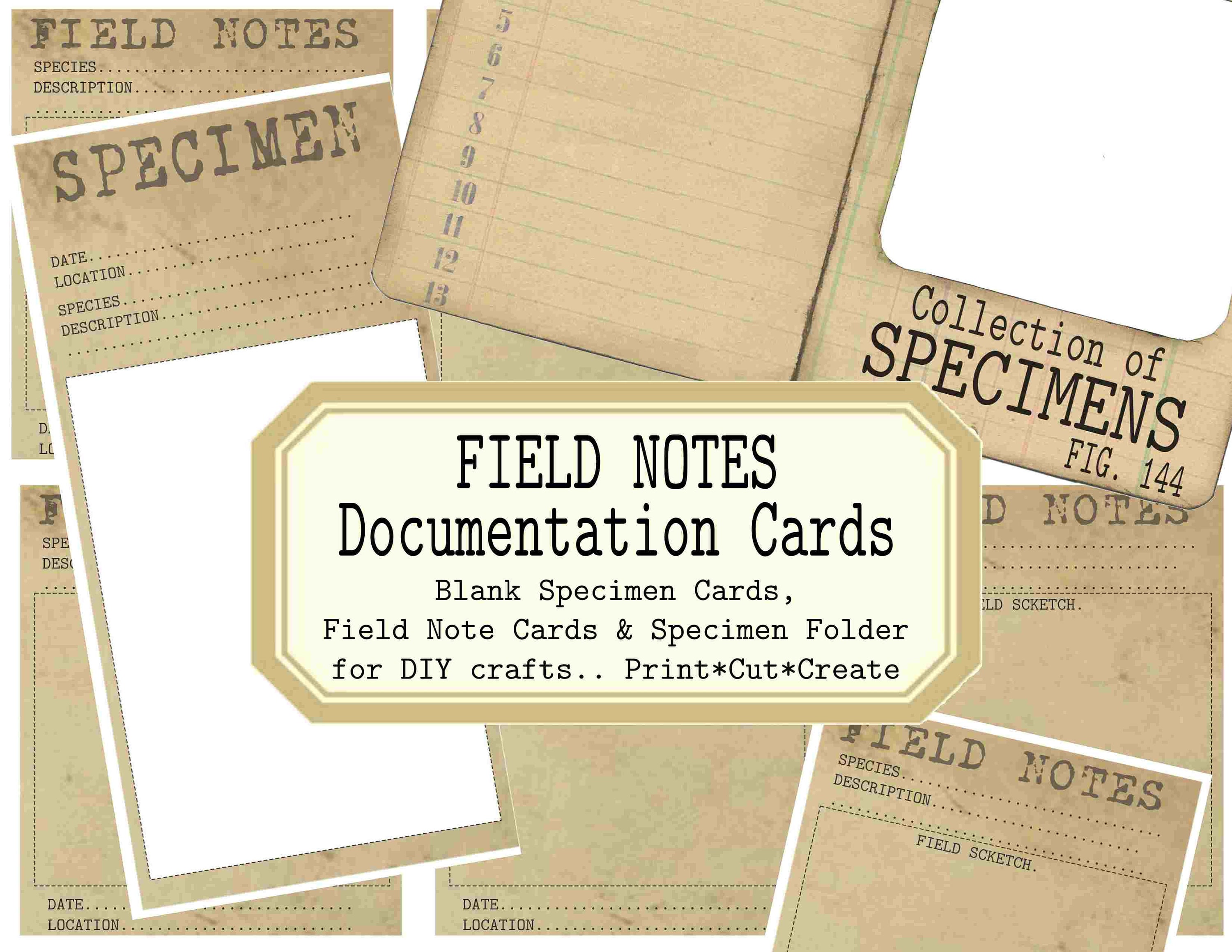Field Note Documentation Cards, Specimen Cards, Nature Journal, Nature ...
