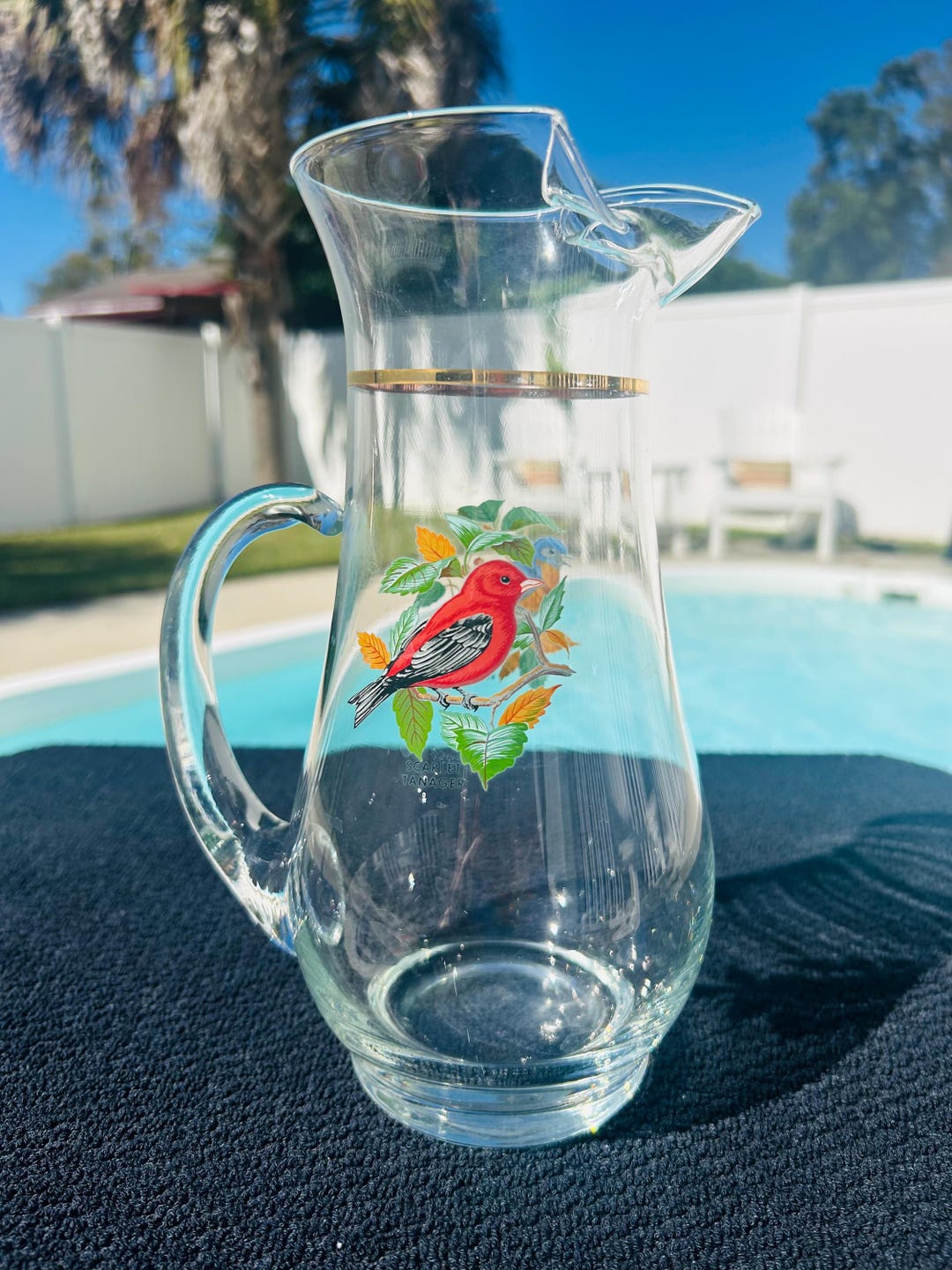 West Virginia Glass Pitcher Bird Collection - Etsy