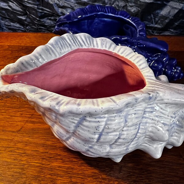 Conch Shell Planter - Etsy