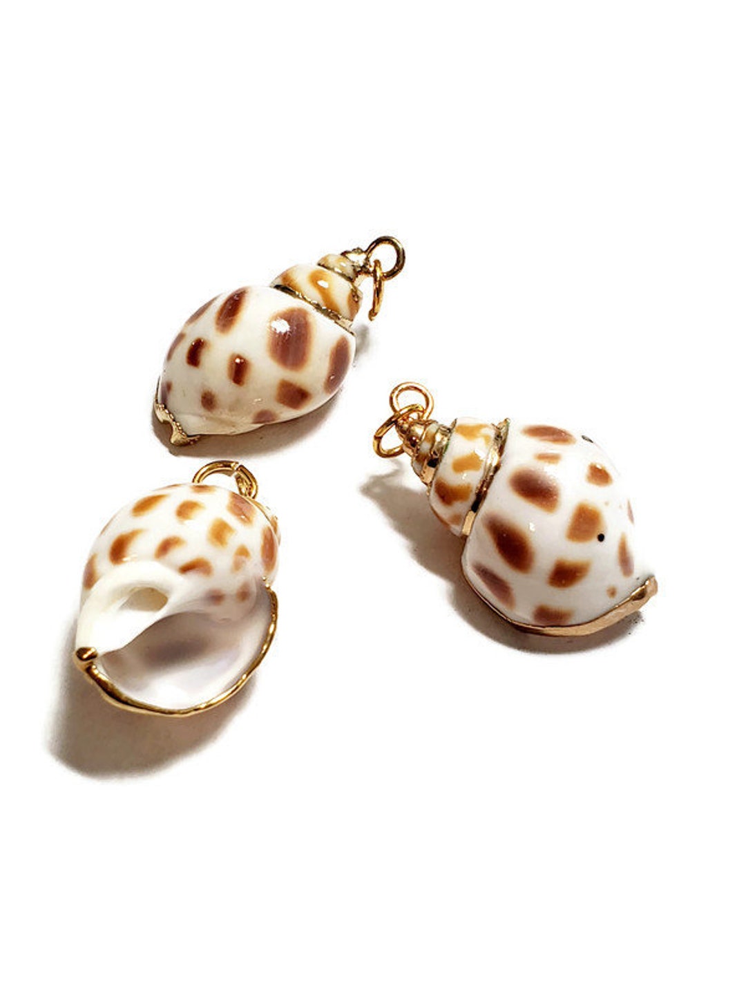 Vintage Gold Dipped Sea Shell Pendant, Gold Rimmed Shell, Shell Pendant ...