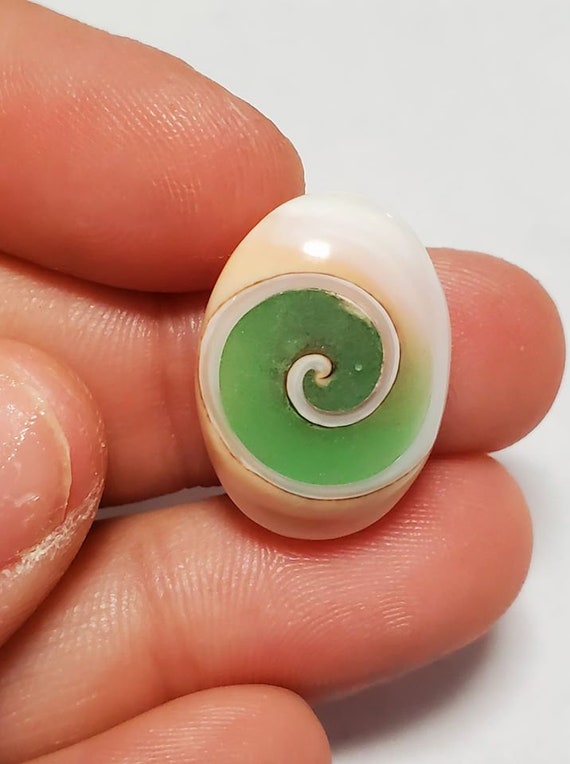 Jewelry Making & Beading Jewelry & Beauty Shiva eye Shell Stone For ...