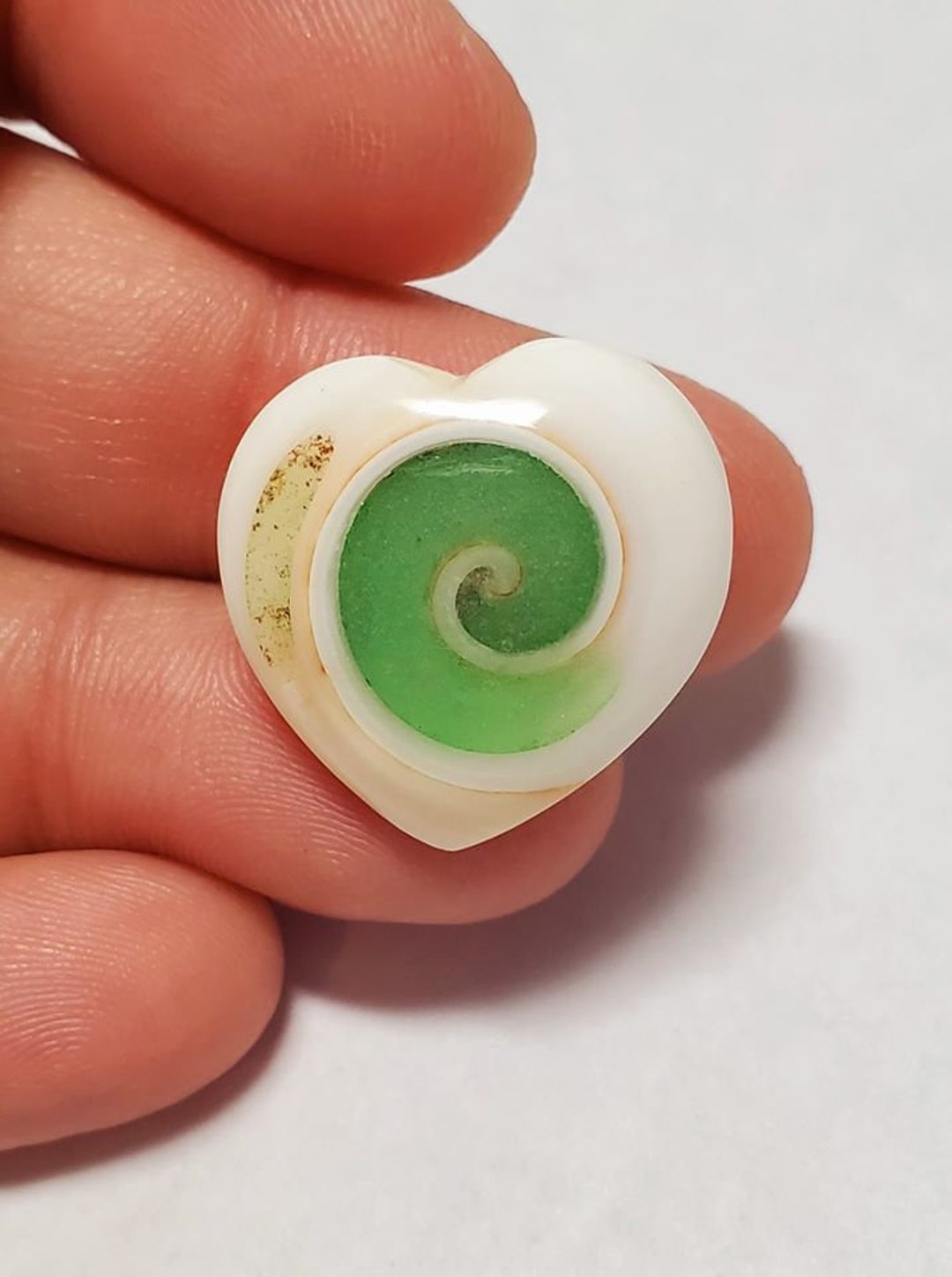 Heart Shaped Snail Fossil Shiva Eye Cabochon, 1pc - Etsy