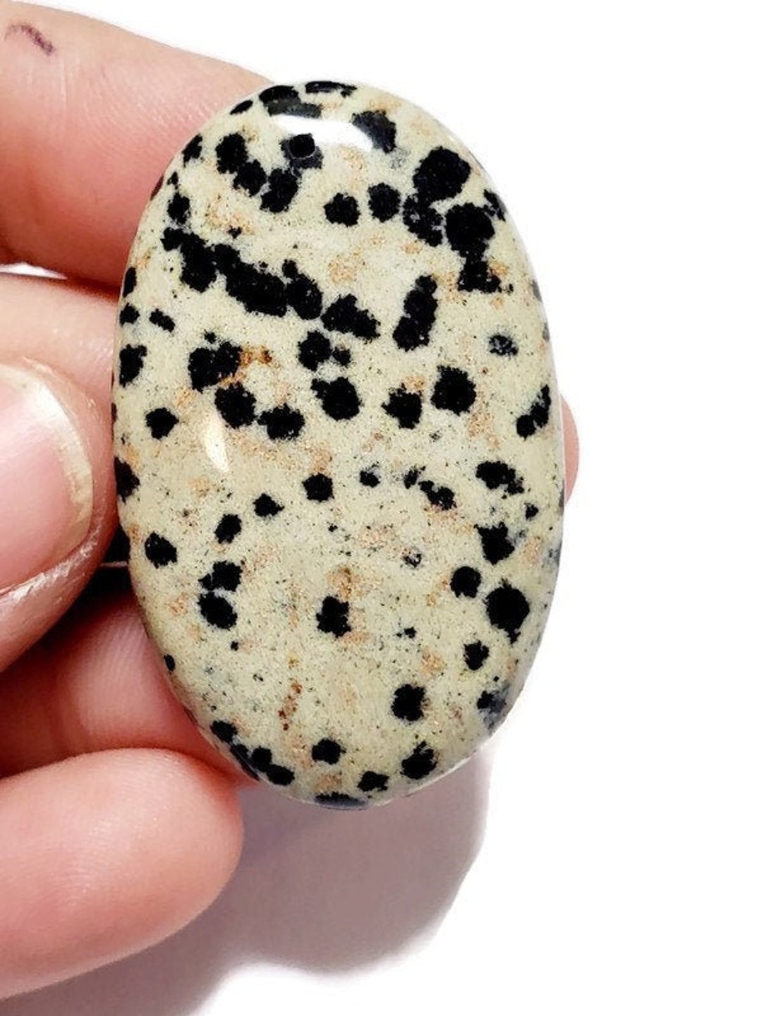 Dalmatian Jasper Gemstone Cabochon, 1pc - Etsy