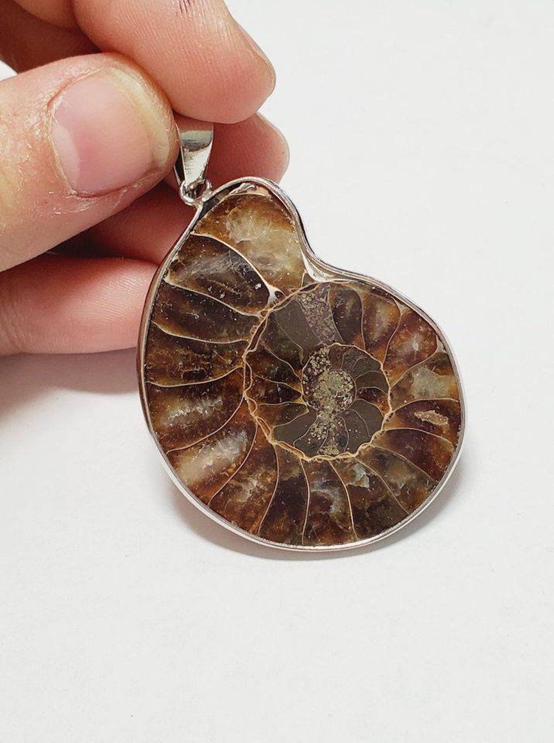 Silver Plated Opalized Ammonite Fossil Stone Pendant, 1pc - Etsy