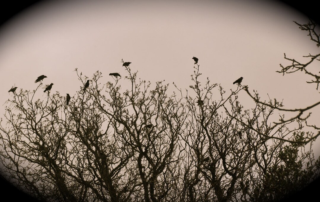 Magic of Creation - Etsy