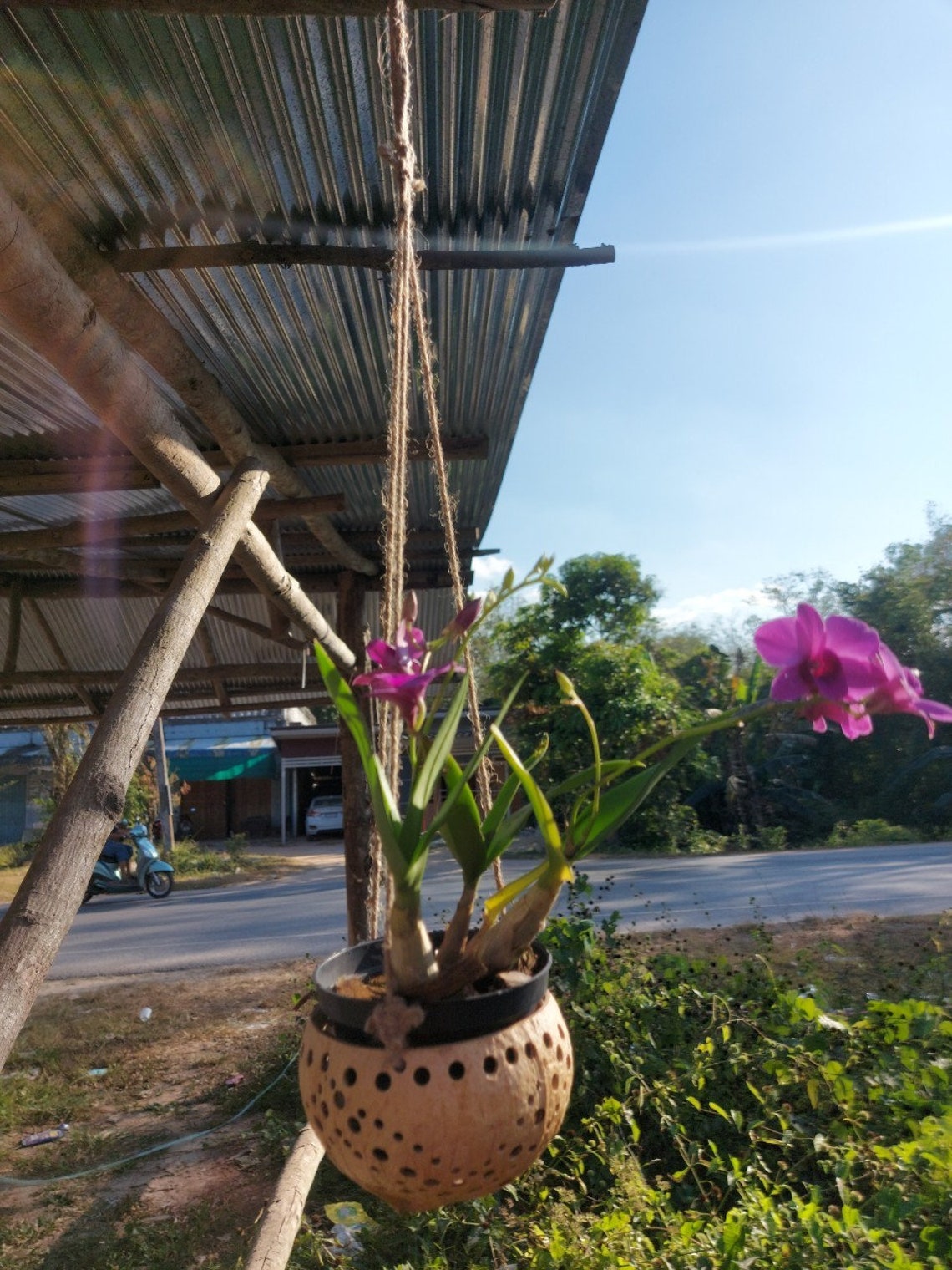 Set 3 PCS Hanging Orchid Pot Air Plant Holder Hanging Orchid | Etsy