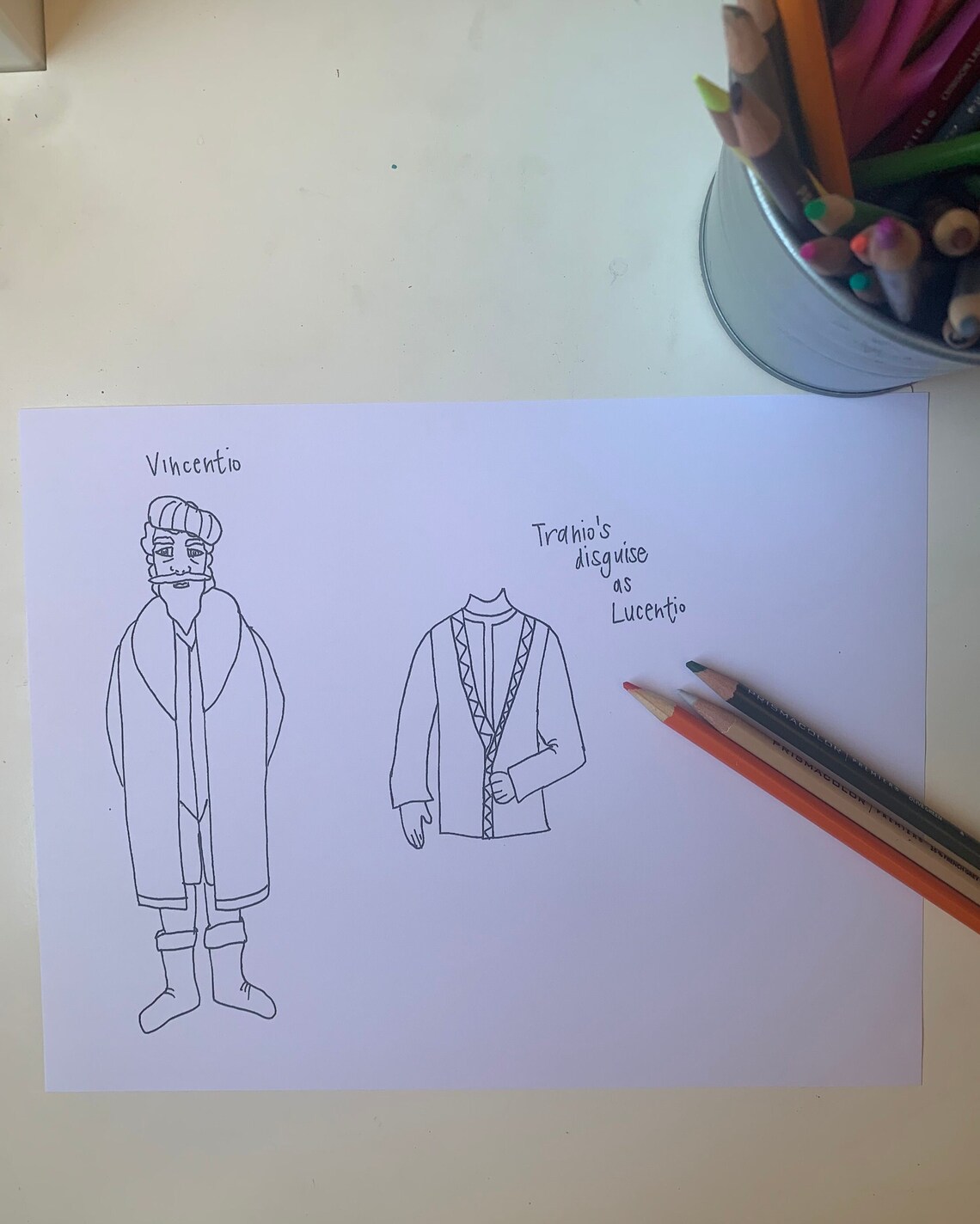 Color-your-own the Taming of the Shrew Shakespeare - Etsy