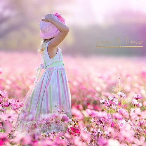 Lavender Flower Field Digital Backdrop/background | Etsy