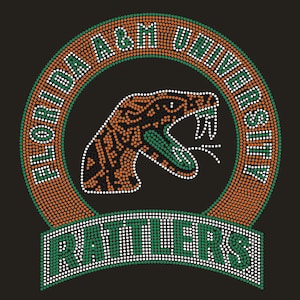 FAMU Charge Tee FAMU Homecoming Gear When the Dark Clouds Gather on the ...