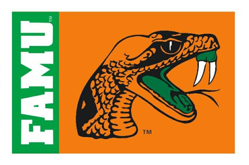 FAMU 3X5 FOOT FLAG - Etsy