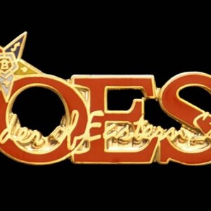 OES LAPEL PINS - Etsy