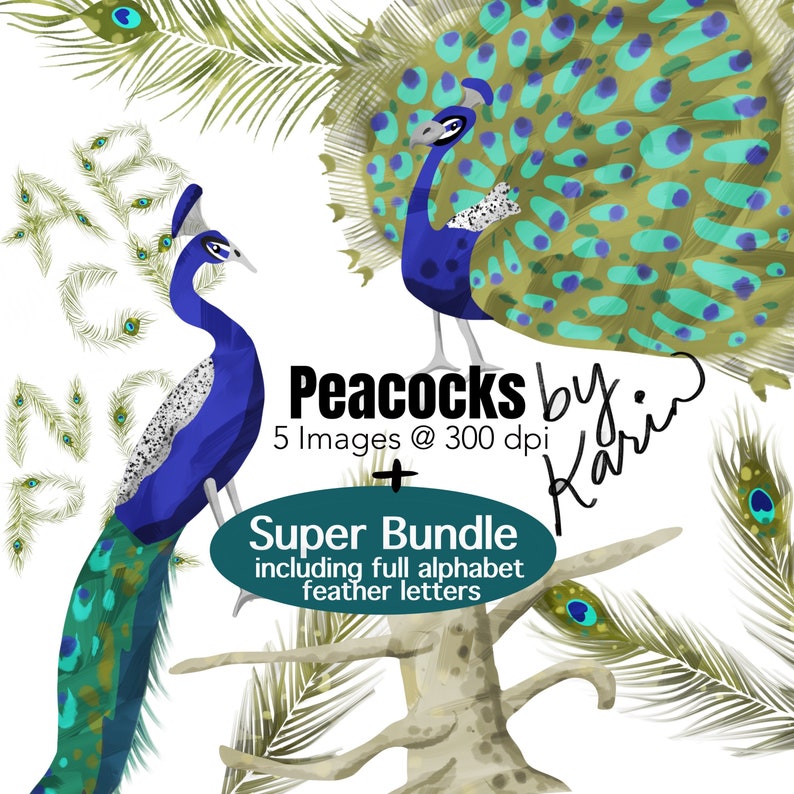 Peacock and Feather Illustration Bundle Watercolour Style Alphabet ...