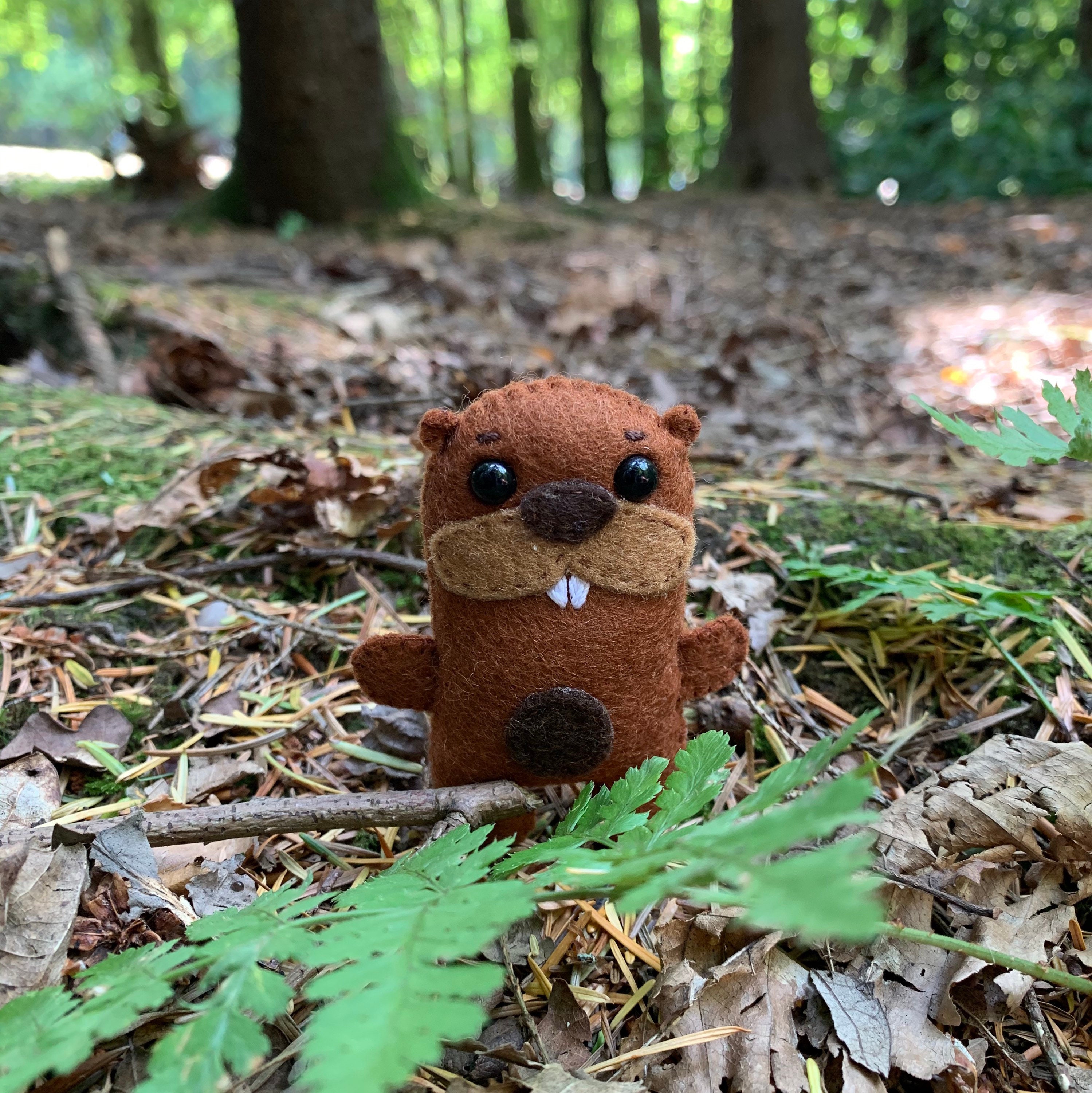 Mini Beaver Soft Toy Matchbox Handmade Felt Gift for - Etsy UK