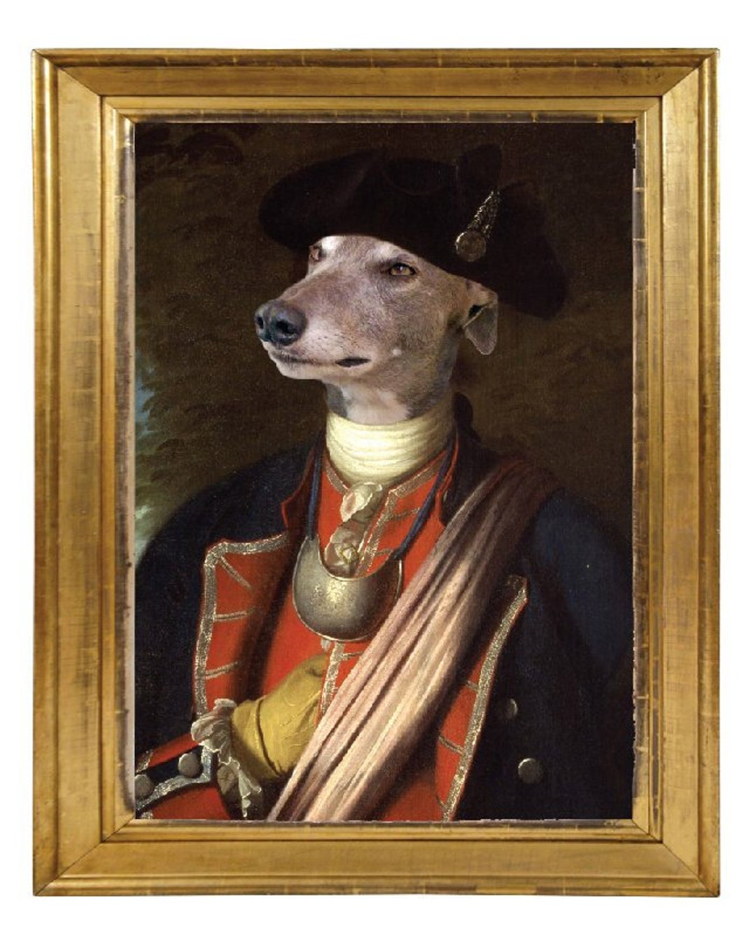 Greyhound in Colonel's Uniform - Etsy