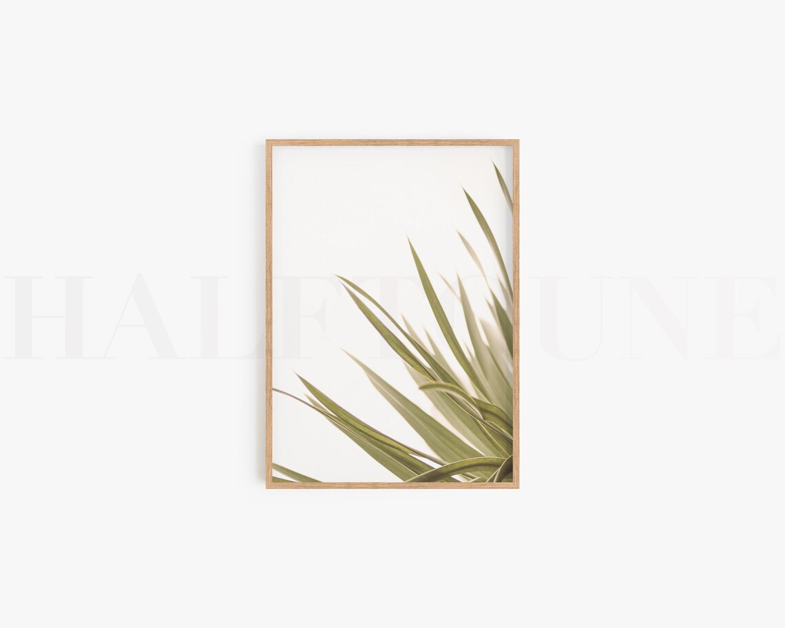 Frame Mockupdigital Framewarm Wood Framehoney Frame - Etsy