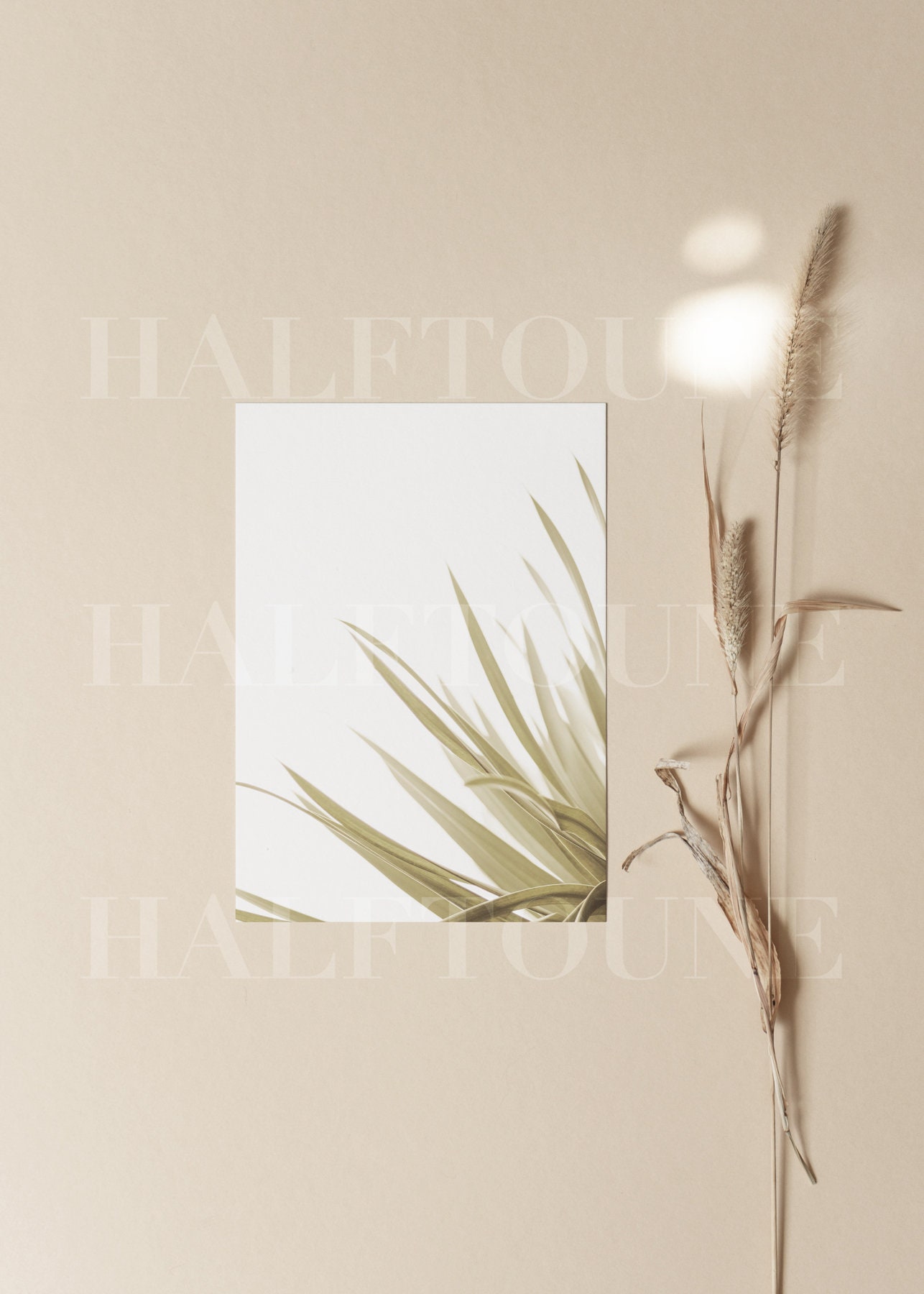 Organic Card Mockupcard Mockupmockup Cardmockinvitation | Etsy