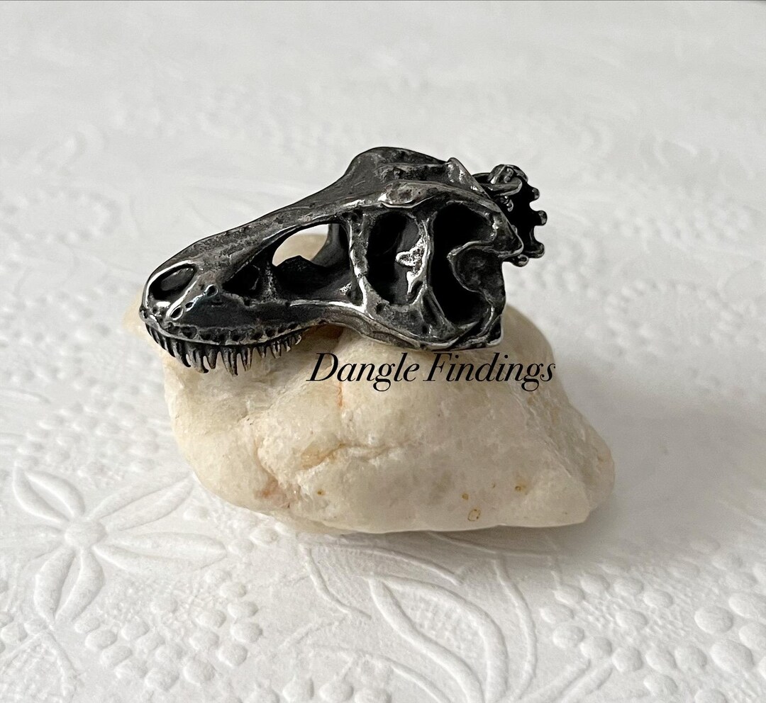 Dinosaur Pendant, Stainless T-rex, Skull, Head, Skeleton, Large, Men’s ...