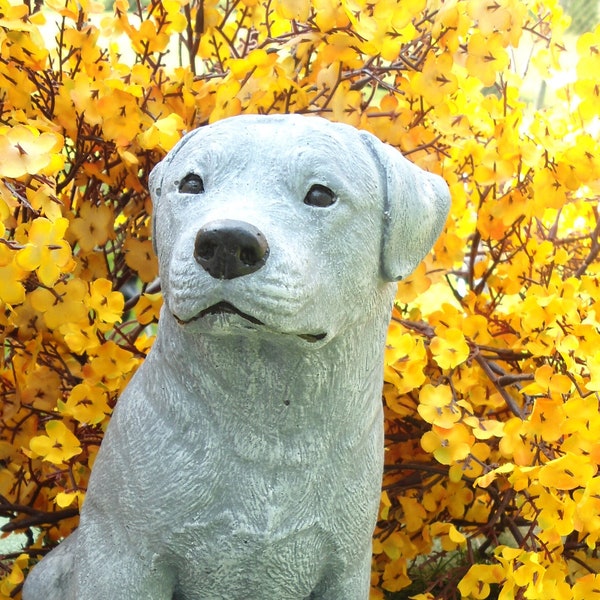 Rottweiler Garden Statue - Etsy