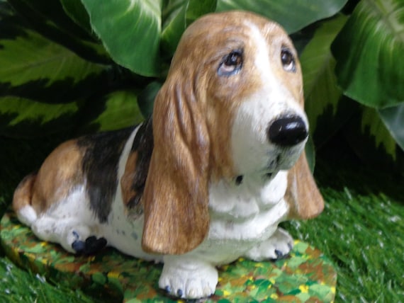 What Is A Mini Basset Hound