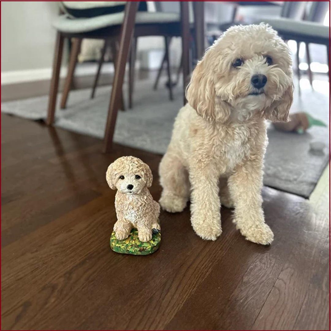 Labradoodle Cockapoo Cavapoo Concrete Statue Custom Mini-me Painted Dog ...
