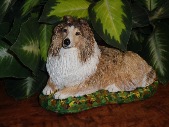 Sheltie Cocker Spaniel Mix