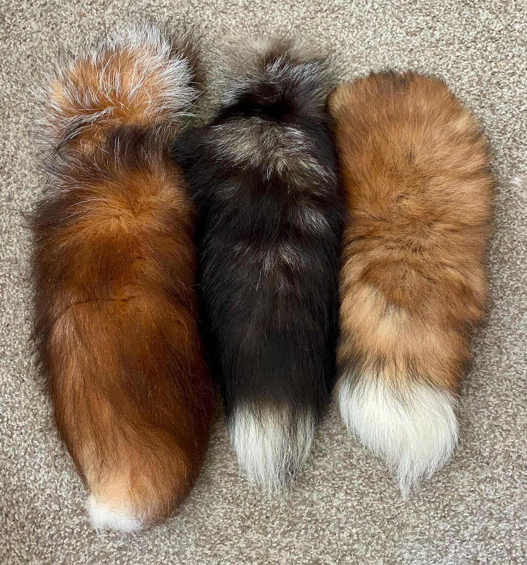 Ranch Fox Tails Tanned Taxidermy Pelt - Etsy