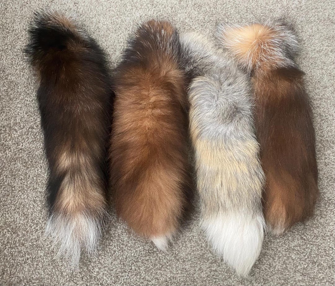 Ranch Fox Tails Tanned Taxidermy Pelt - Etsy