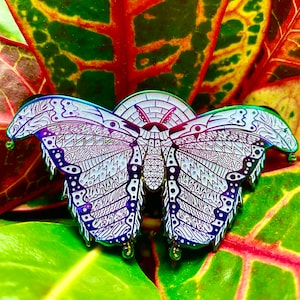 Anodized Atlas Moth Pin - Etsy