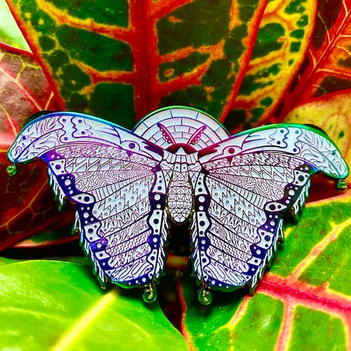 Anodized Atlas Moth Pin - Etsy