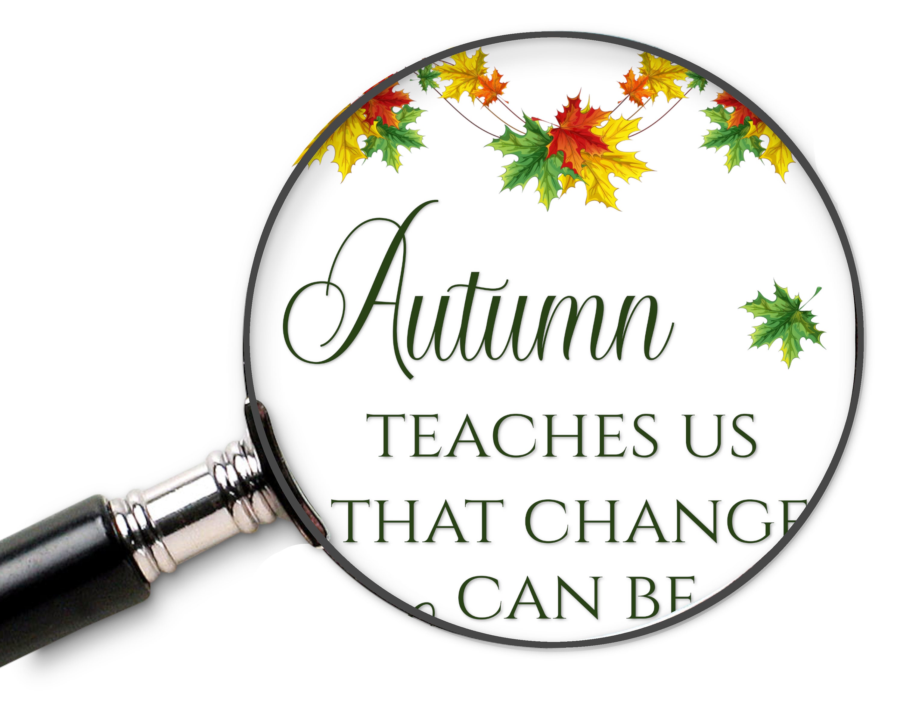 Autumn Teaches Us Change That Can Be Beautiful, Autumm Decoration ...