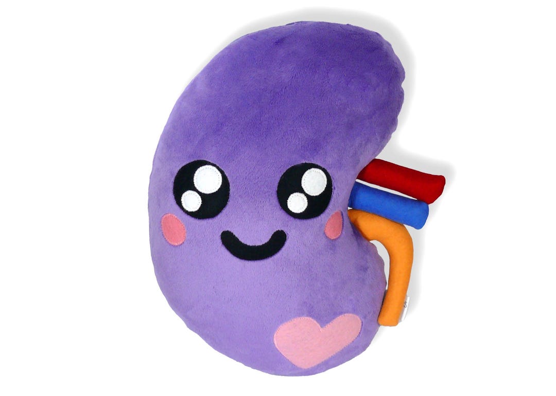Anatomical Kidney Plush Toy Organ, Kidney Transplant Plushie Gift ...