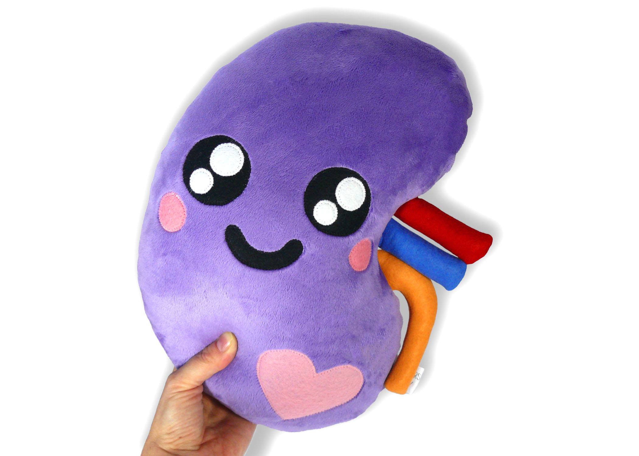 Anatomical Kidney Plush Toy Organ, Kidney Transplant Plushie Gift ...