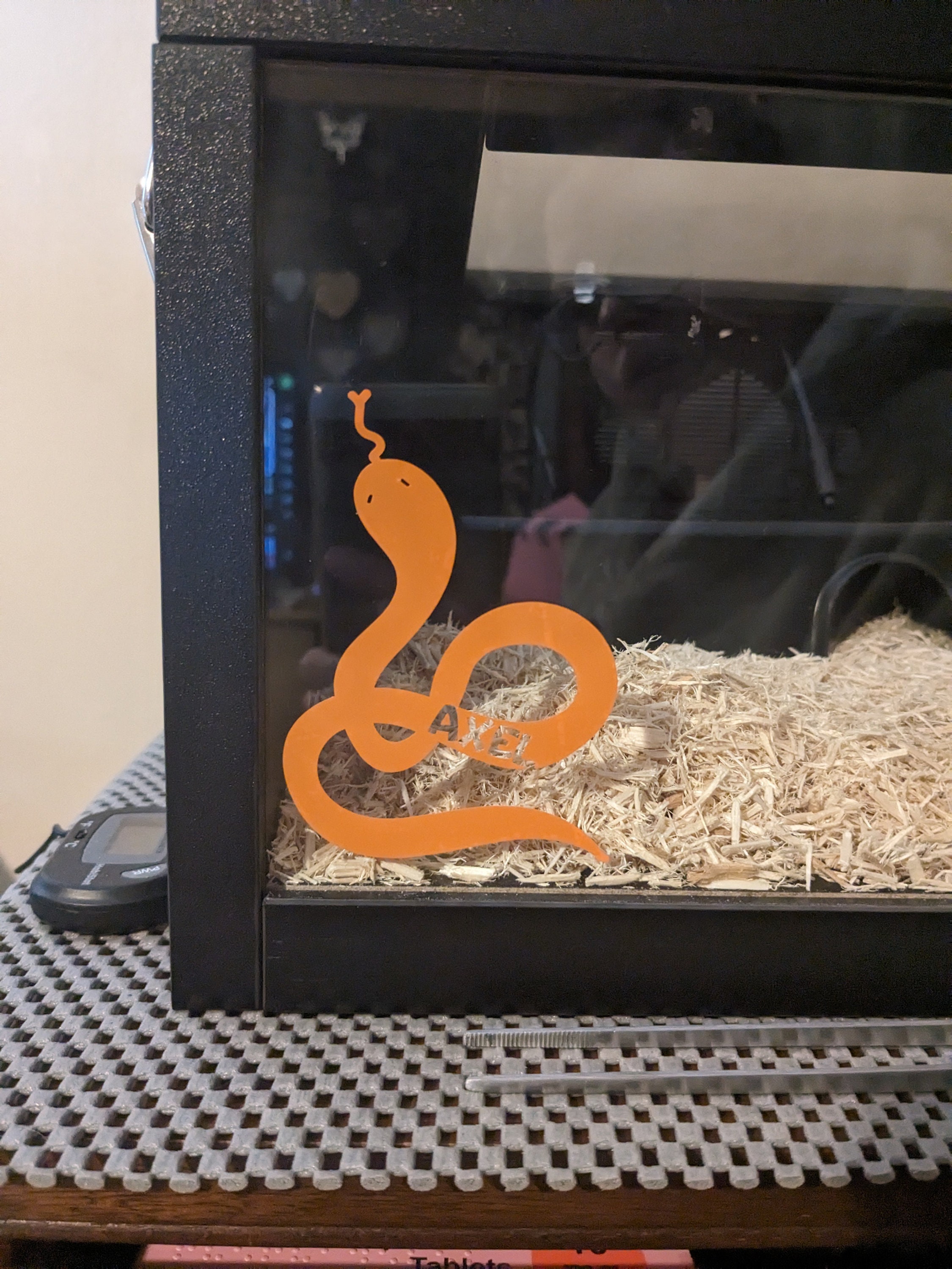 Snake Vinyl Sticker, Personalised Snake Sticker, Viv Sticker, Vivarium ...