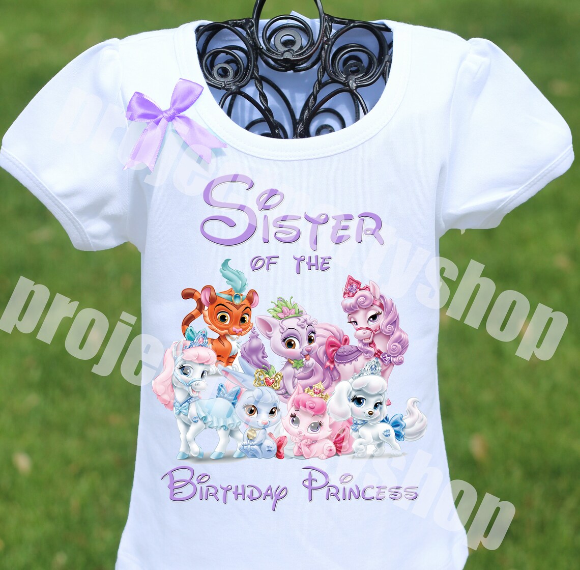 Disney Princess Family Birthday Shirts Disney Princesses - Etsy