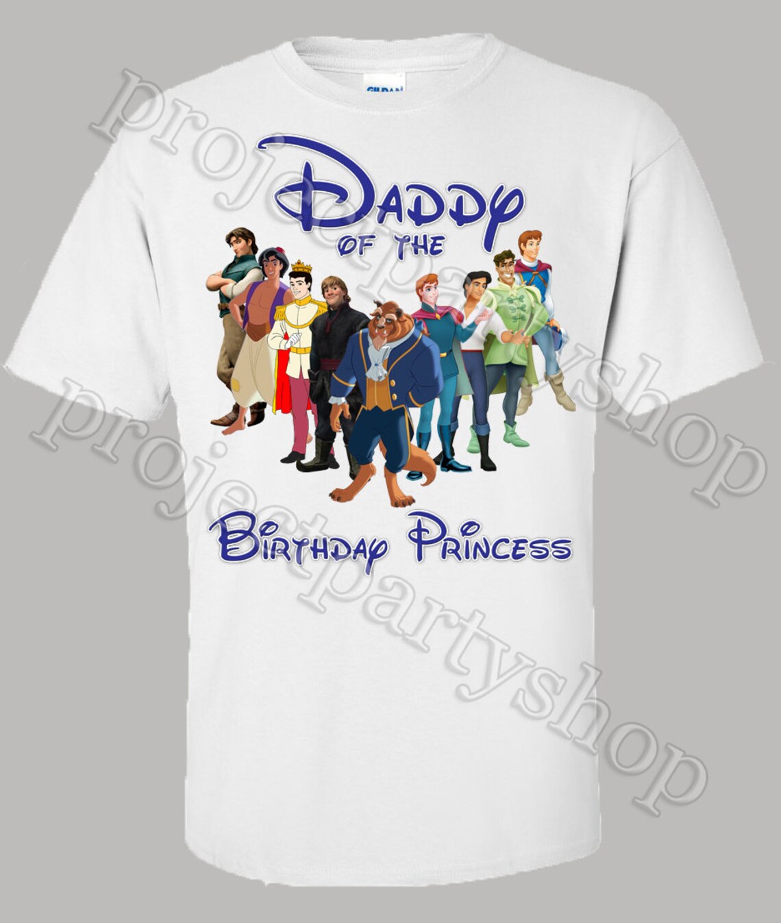 Disney Princess Family Birthday Shirts Disney Princesses - Etsy