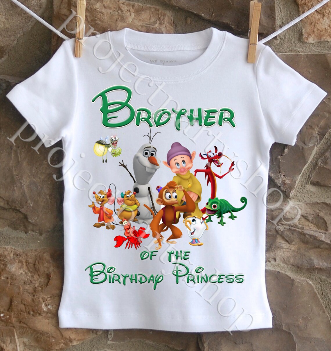 Disney Princess Family Birthday Shirts Disney Princesses - Etsy